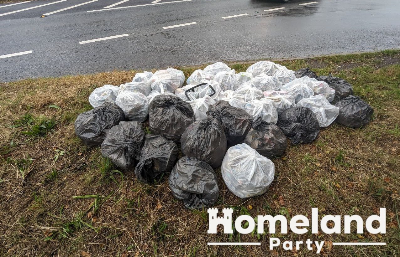 Solo litter-pick - Homeland Party